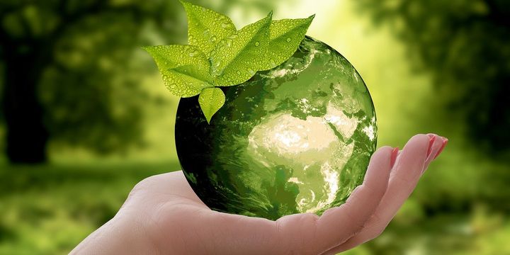 UEA: Temiz enerji yatırımı hala yeterli değil | Son dakika ekonomi ...